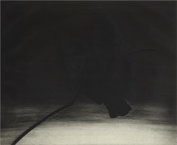 Joe Andoe | Crow I (1996) | MutualArt