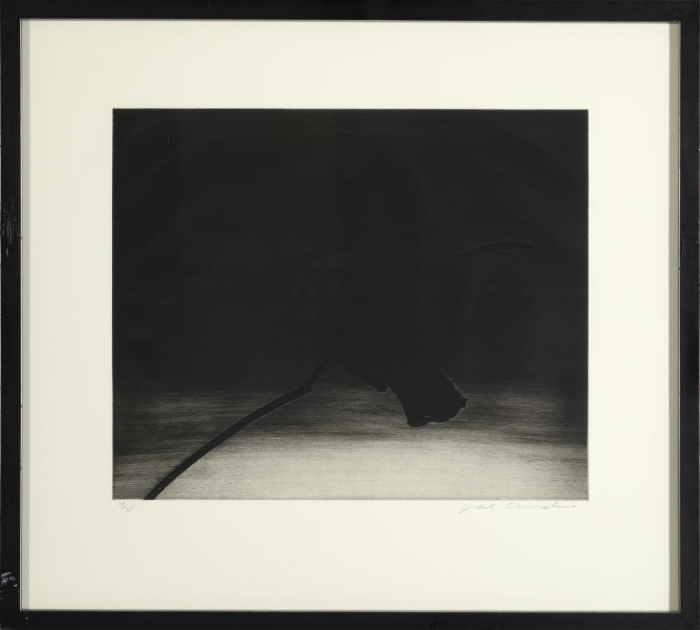 Joe Andoe | Joe Andoe (1996) | MutualArt