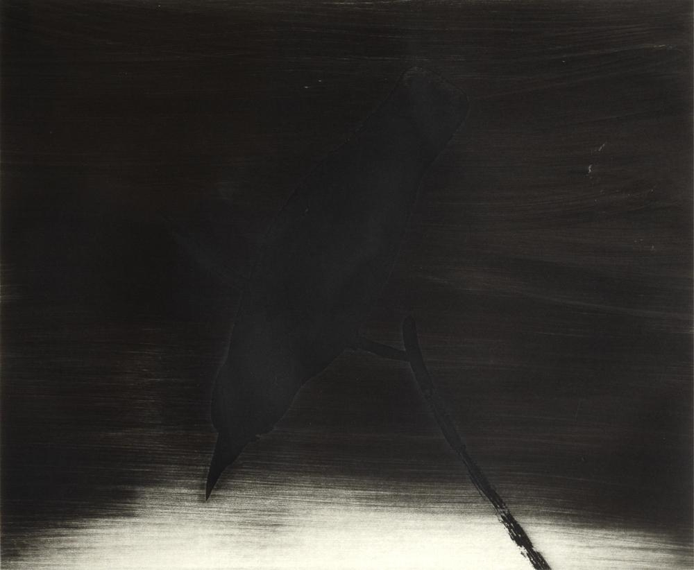 Joe Andoe | Joe Andoe (1996) | MutualArt