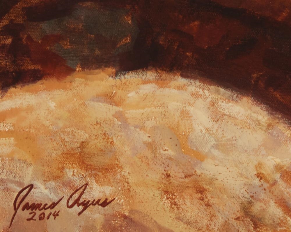 James Ayers | Sentinels of the Sonoran Desert (Apache (2014) | MutualArt