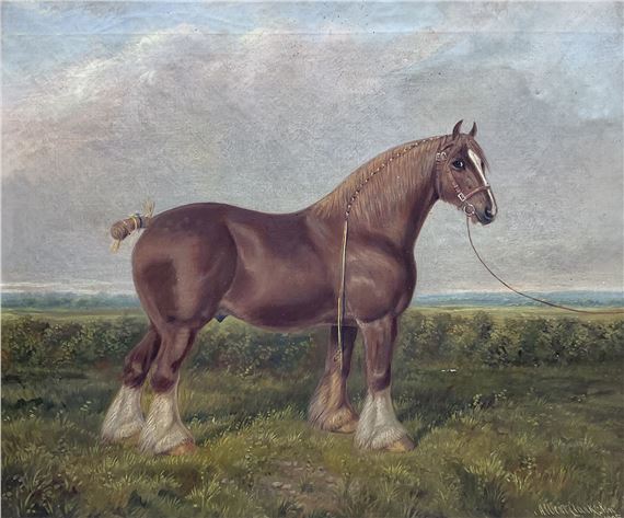 Albert Clark | 'Royal Sandy' Portrait of a Shire Horse in Landscape ...