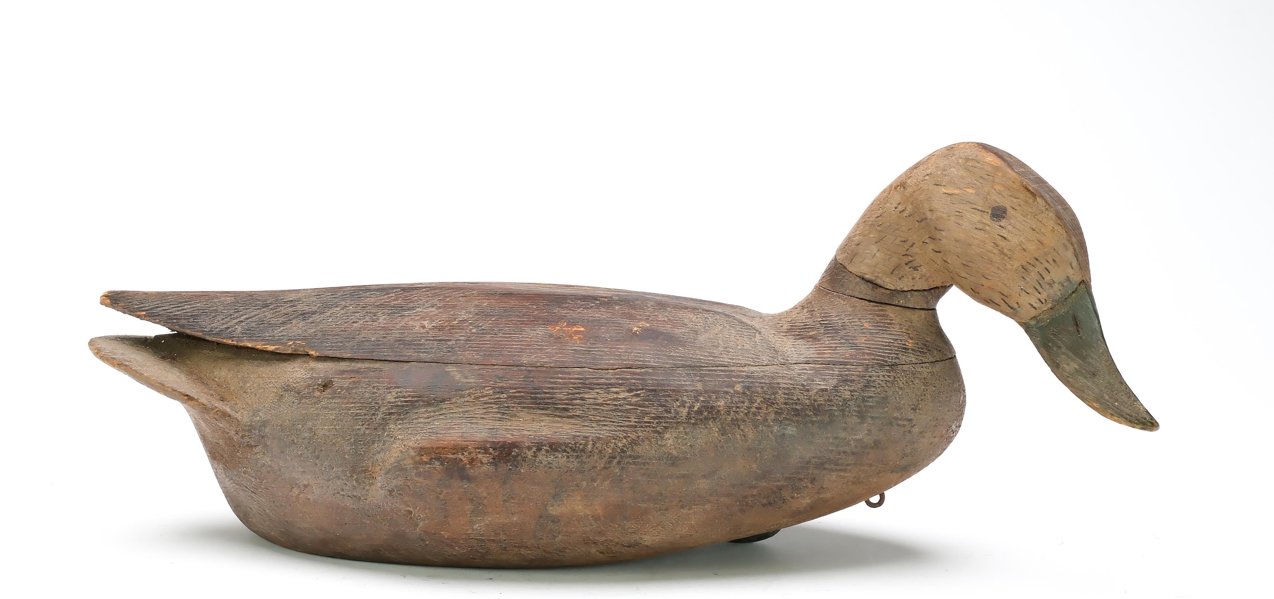 Roy Collins | Black duck | MutualArt