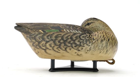 Grayson Chesser | Sleeping green wing teal hen (1985) | MutualArt
