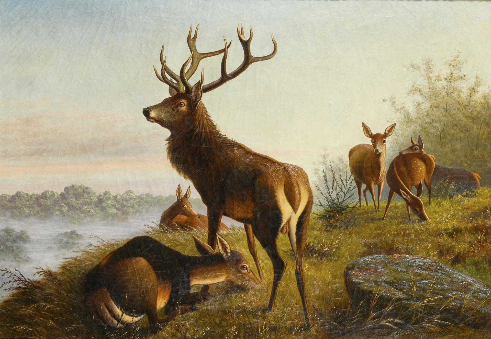 Benjamin Kratz | Deer in the Mogen Nebula | MutualArt