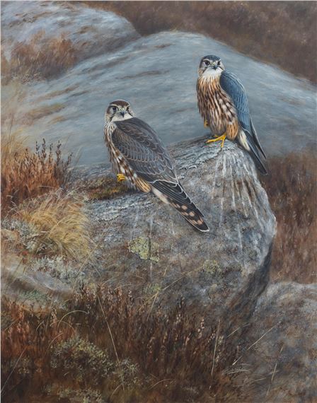 Alastair Proud | Merlin and Golden Eagle | MutualArt