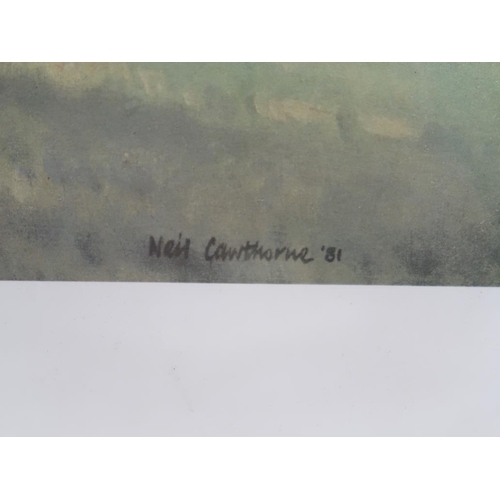 Neil Cawthorne | FRIDAY COUNTRY | MutualArt
