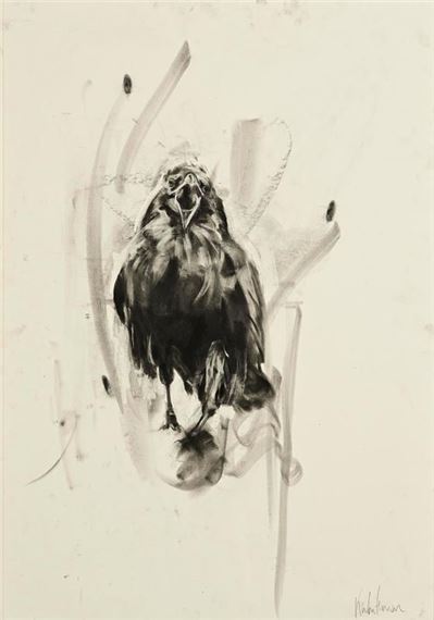 Kate Whitman | Biography