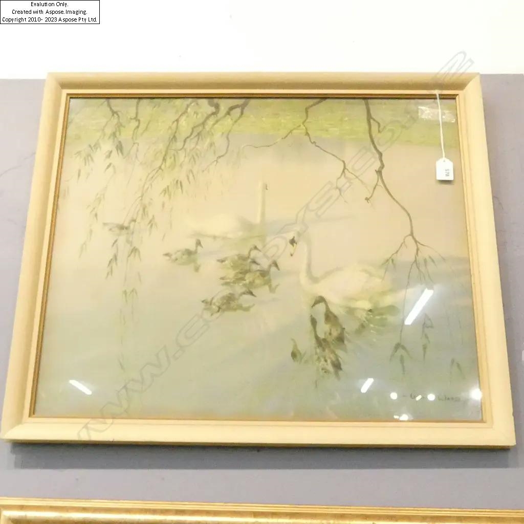Vernon Ward | VERNON WARD SWANS PRINT 490x590mm | MutualArt