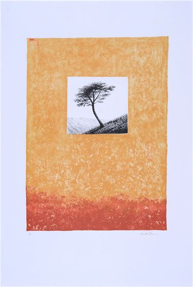 Scott Duce | Senza titolo | MutualArt