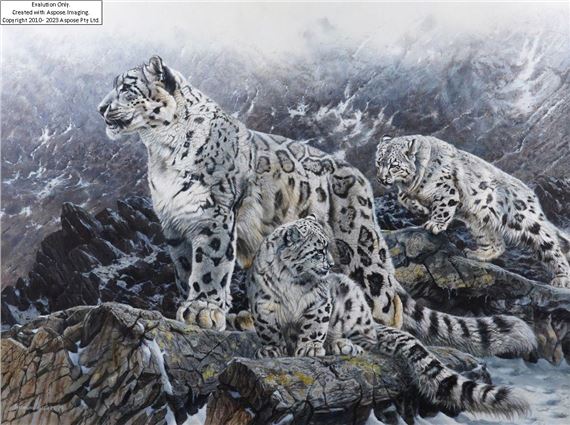 Matthew Hillier | Snow Leopards (1995) | MutualArt