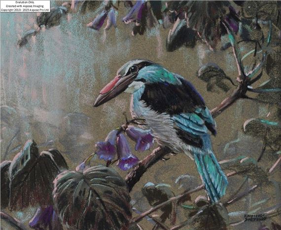 Raymond Sheppard | Blue-Breasted Kingfisher | MutualArt
