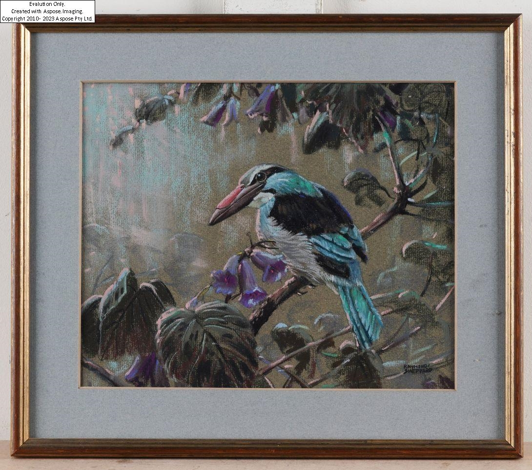 Raymond Sheppard | Blue-Breasted Kingfisher | MutualArt