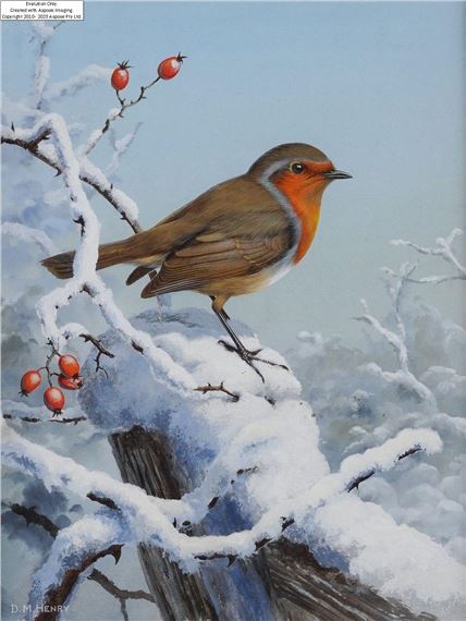 David Morrison Reid Henry | A Robin in Winter | MutualArt