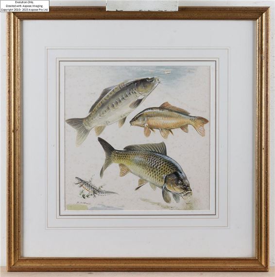 Rodger McPhail | Carp and Newt | MutualArt