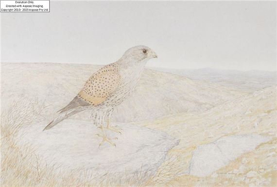 Martin Brooks | 2 Artworks at Auction | MutualArt