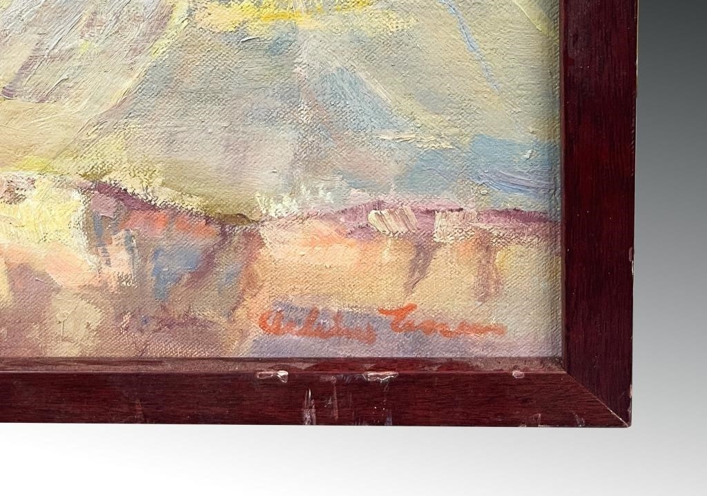 Arline Tinus | ARLINE TINUS O/C PANORAMIC CANYON VIEW | MutualArt