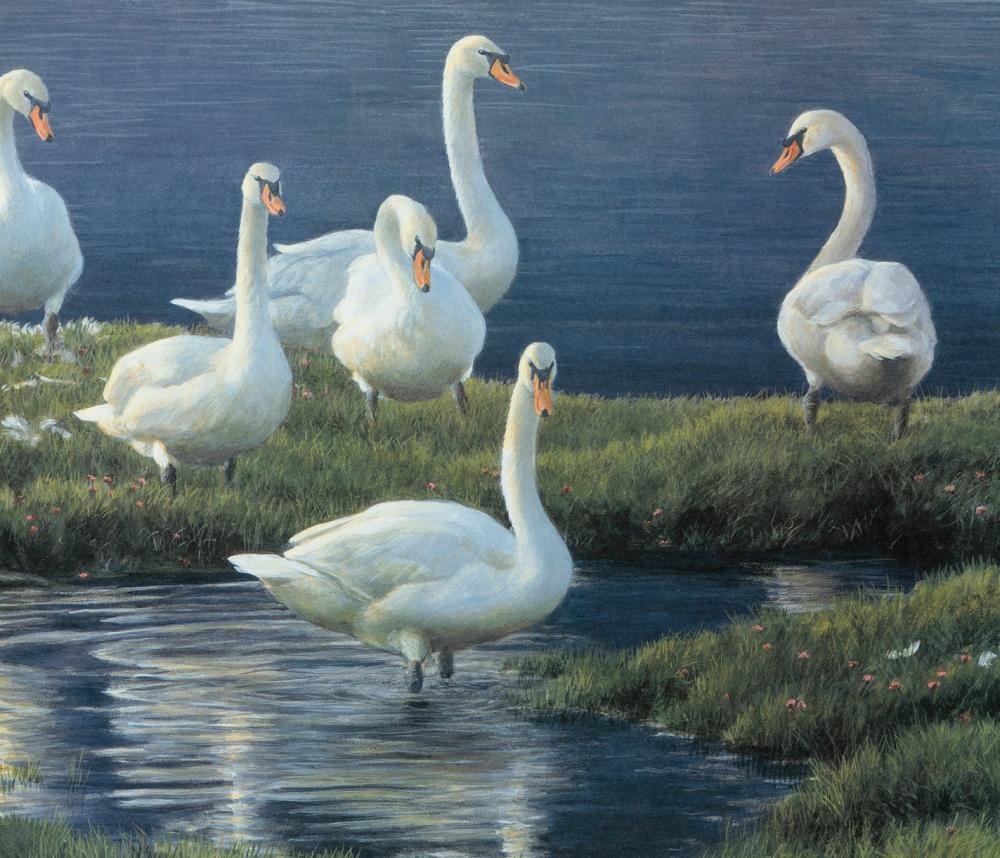 Robert McLellan Bateman | Bank of Swans (1999) | MutualArt