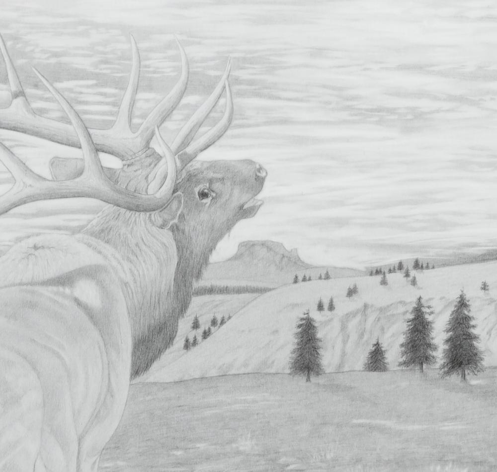 Nathan Pasert | His Majesty (2009) | MutualArt