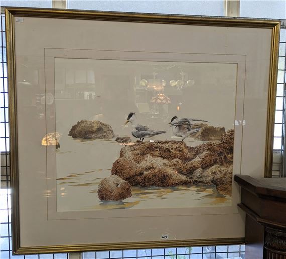 William Beavan | Terns at Water's Edge (1986) | MutualArt