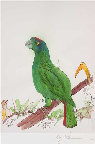 Ralph Steadman | MARTINIQUE AMAZON PARROT (2011) | MutualArt