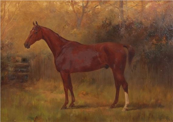 Thomas Blinks | Portrait of Randy (horse owned by Mr Joseph Storey ...