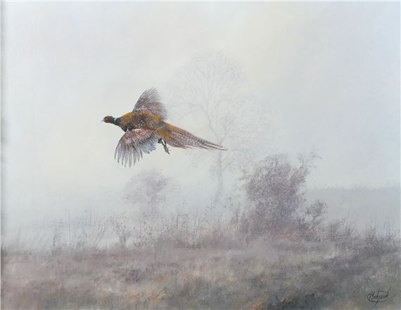Clive Madgwick | Lone pheasant on a misty morning | MutualArt
