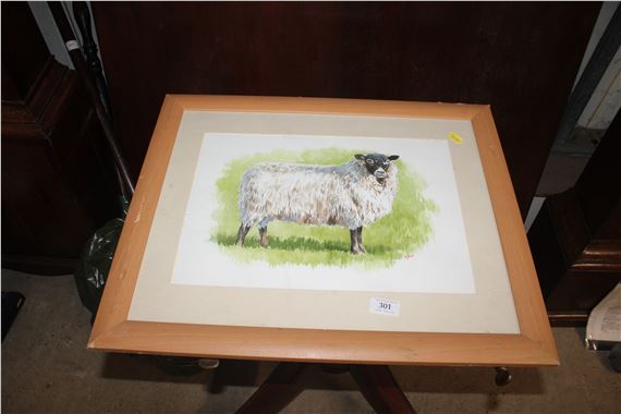 John Ryan | watercolour study of a sheep | MutualArt