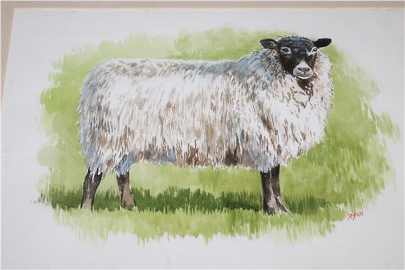 John Ryan | watercolour study of a sheep | MutualArt