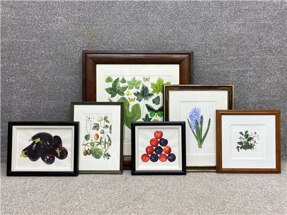 Susan Ogilvy | A collection of six botanical artworks (1990) | MutualArt