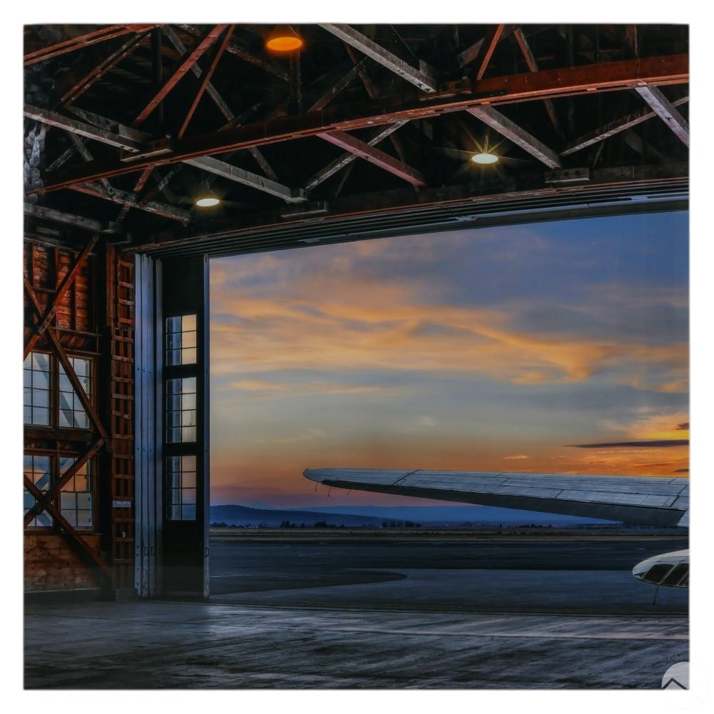 Peter Lik | First Flight | MutualArt