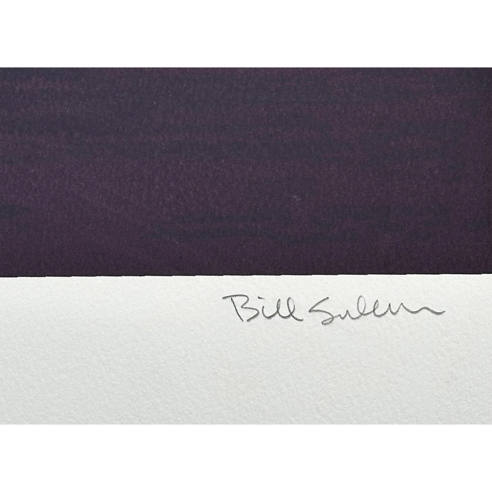 Bill Sullivan | Serigraph titled Flowers | MutualArt