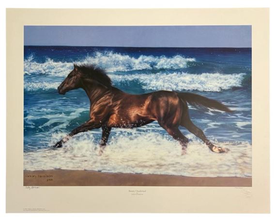 Lesley Harrison | Beauty Unadorned | MutualArt