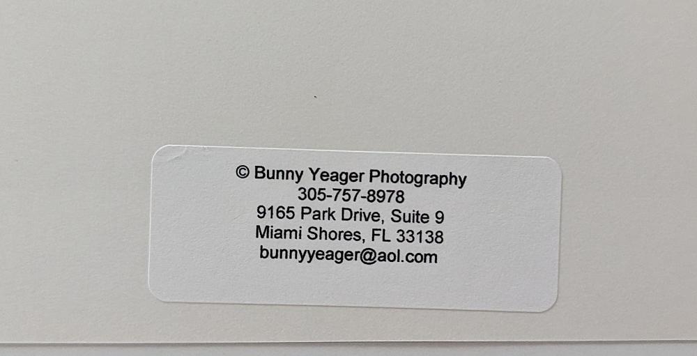 Bunny Yeager | BUNNY YEAGER Lithograph Model DIANE WEBBER 14 x 11 ...