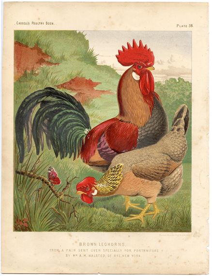 Joseph Williamson Ludlow | 1890s Original Chromolithograph English ...