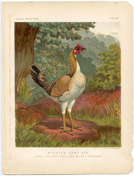 Joseph Williamson Ludlow | 1890s Original Chromolithograph English ...