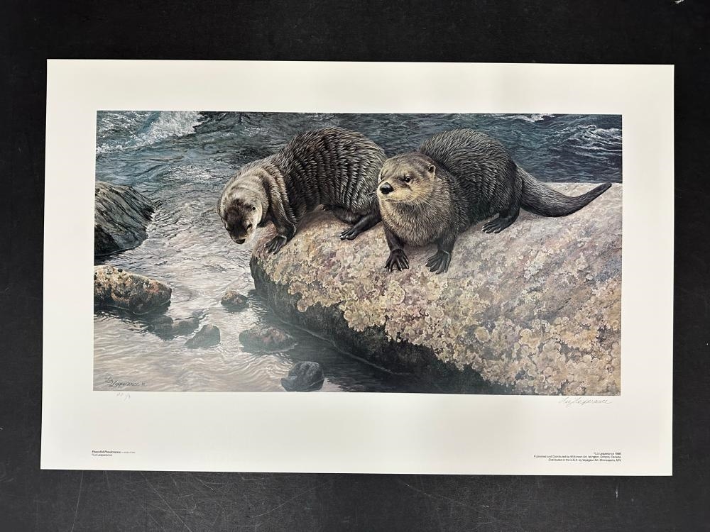 Liz Lesperance | Liz Lesperance's Peaceful Ponderance - River Otters ...