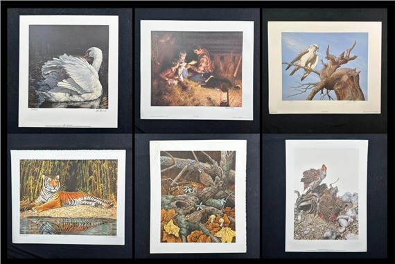 Caroline Schultz | Wildlife Limited Edition Prints | MutualArt