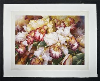 Darryl Trott | 81 Artworks at Auction | MutualArt