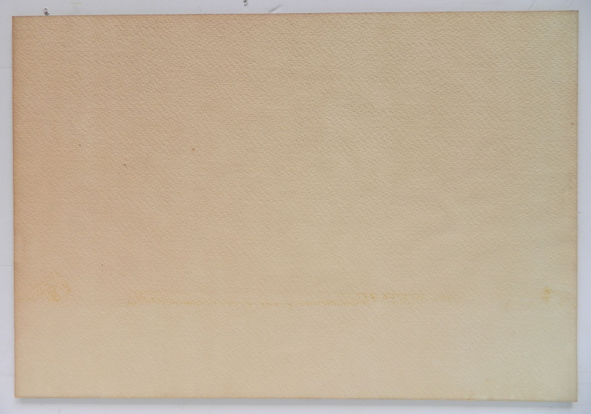 Kinley Shogren | Alexander Mills (1963) | MutualArt