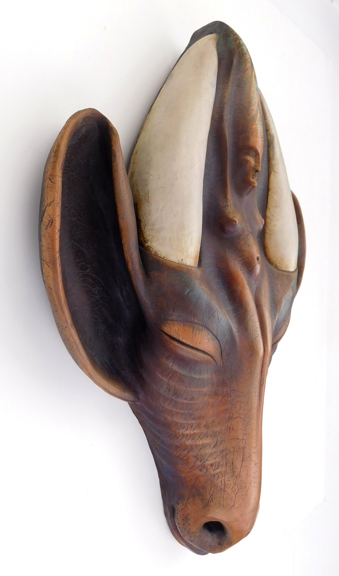 Gary Spinosa | Bovine Woman- Asleep (26) | MutualArt