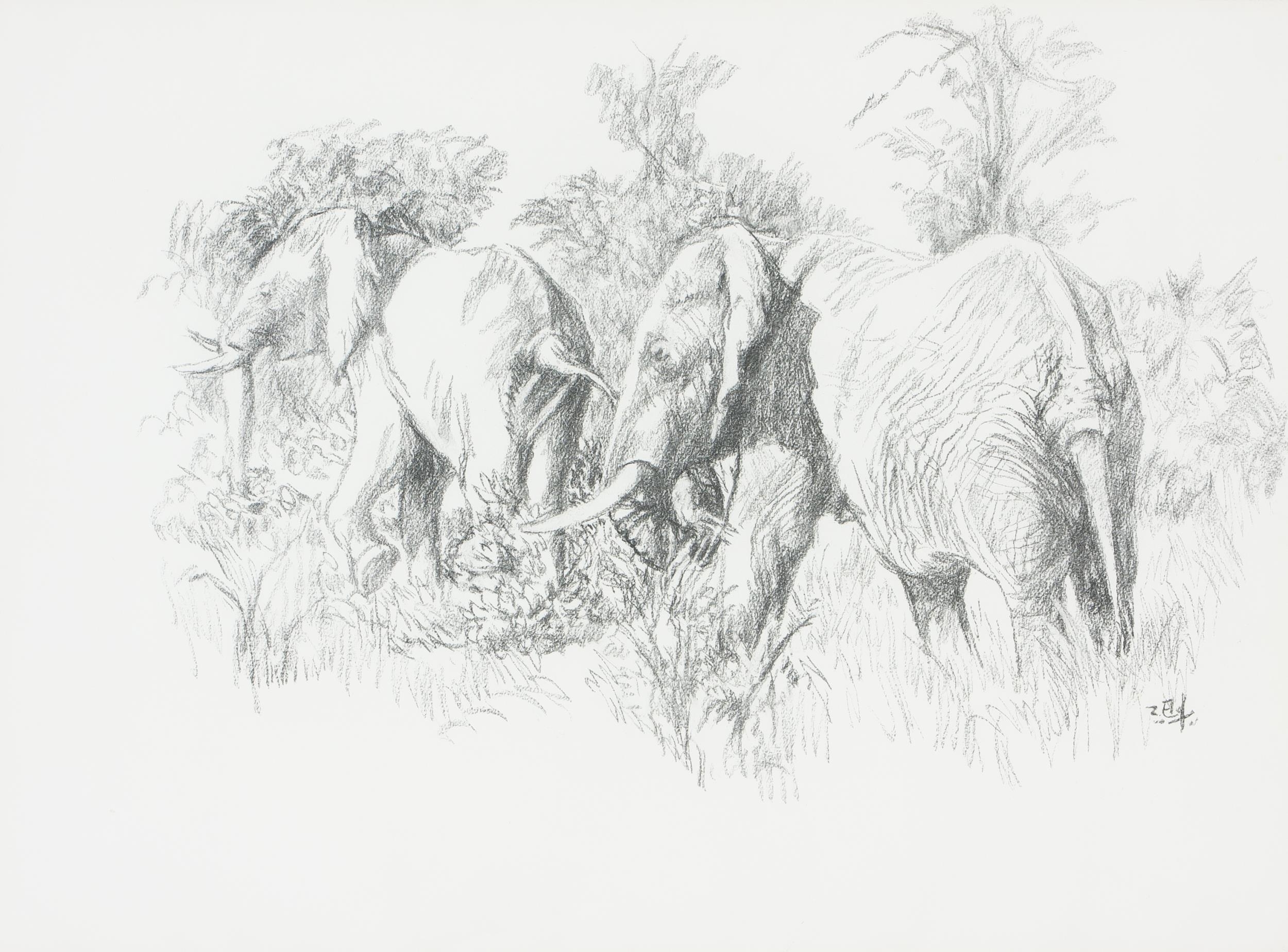 Zakkie Eloff | Zakkie Eloff (South African 1925-2004) TWO ELEPHANTS ...
