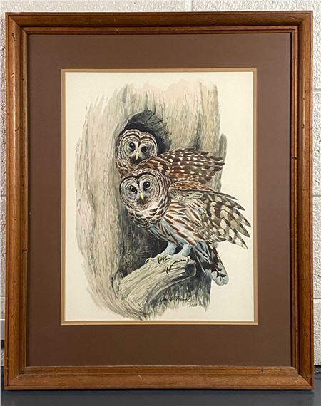 David Maass | Framed 1980 Print of Barred Owls by Donald Leo Malick ...