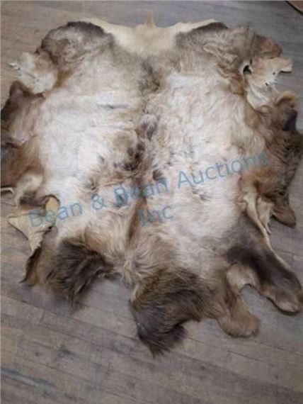 Beige | Authentic Elk Hide Rug or Display Piece | MutualArt