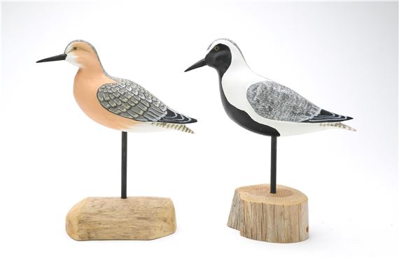 Harry V. Shourds III | Two shorebirds with raised split wingtip (2013 ...