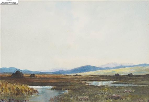 Douglas Alexander | Irish landscape | MutualArt