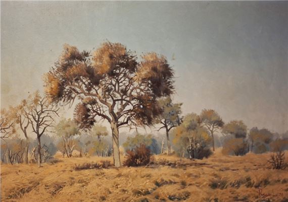 Pascal Shongwe | Bushveld Landscape (87) | MutualArt
