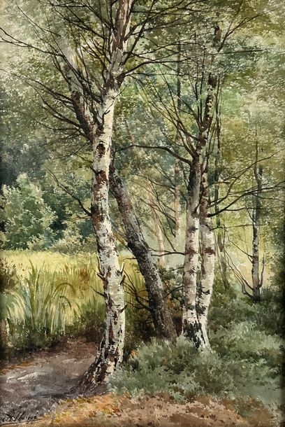 Auguste Allonge | Landscape with birch trees | MutualArt