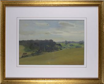 Charles Walter Simpson | RED THROATED DIVER | MutualArt