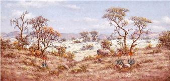 Henry Bredenkamp | BUSHVELD SCENE | MutualArt