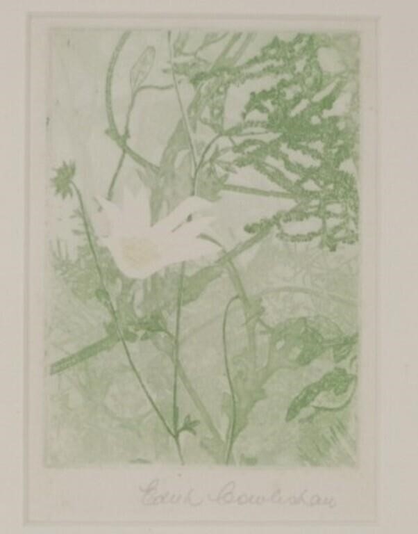 Edith Cowlishaw | Australia (1924) | MutualArt